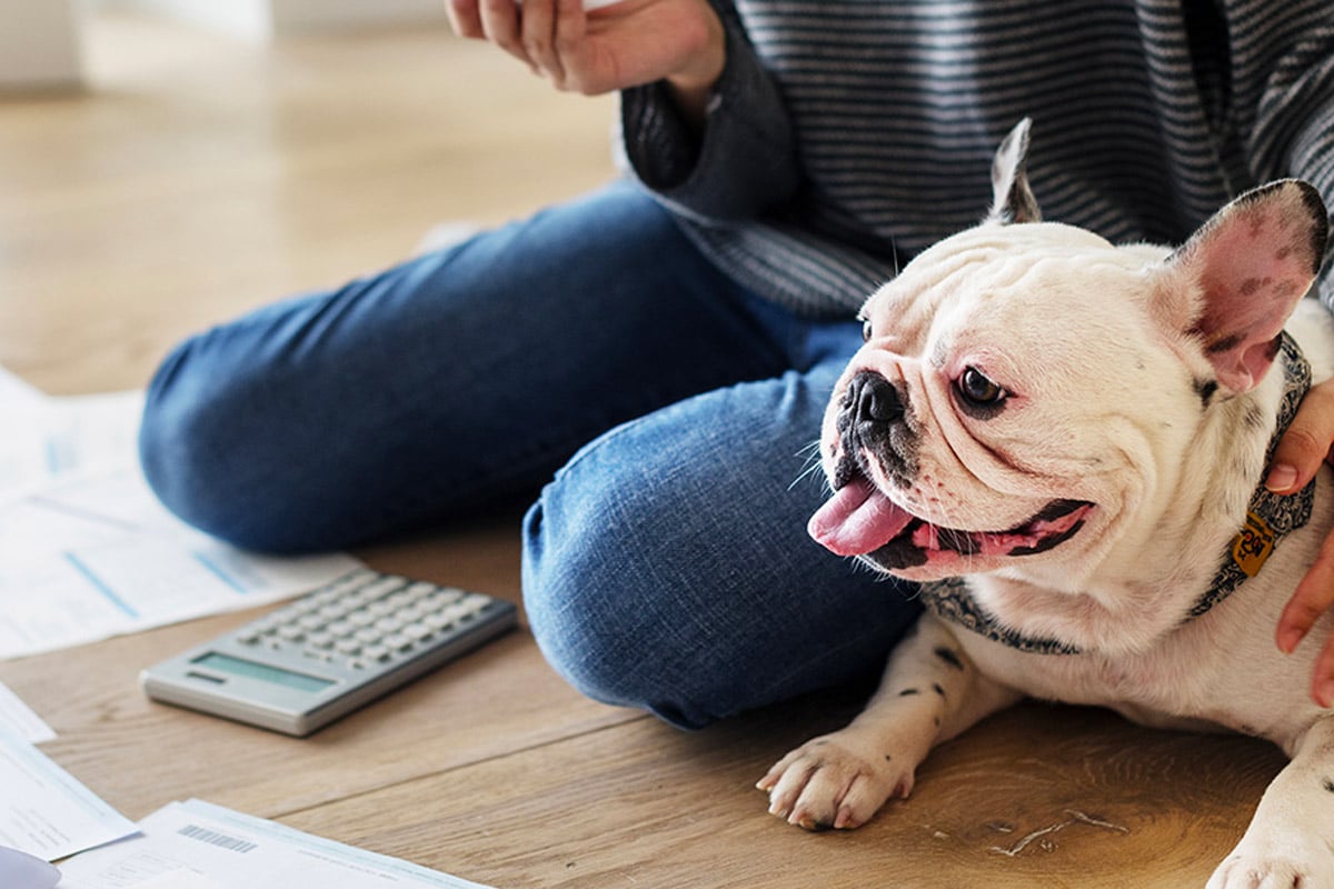 Client Forms | Royal Dog Walking & Pet Sitting | Jupiter